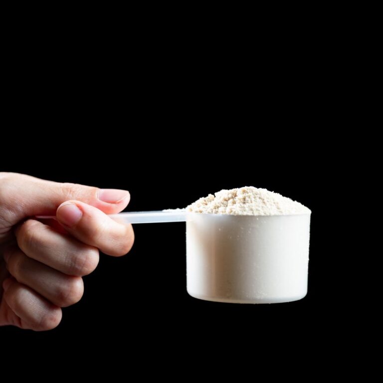 Ingredients of Protein Powder: Key Components Explained - BODY ACTIVE ...